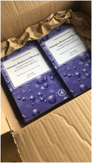 Books and Books Chapters – Prof. Dr. Bruno G. Pollet Website